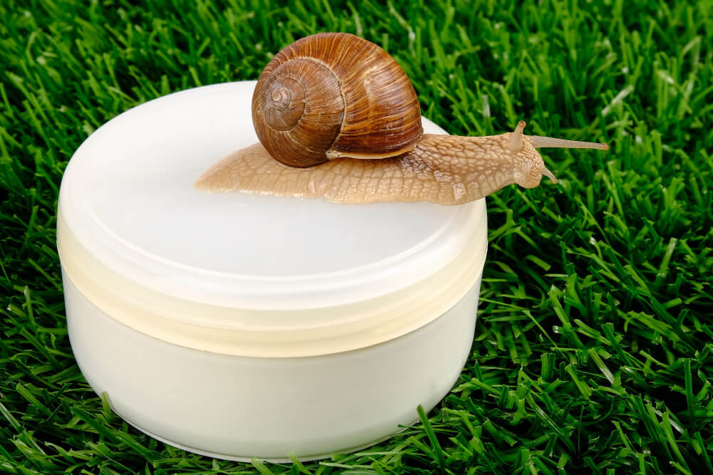 Creme cu extract de melc. Beneficii și utilizări